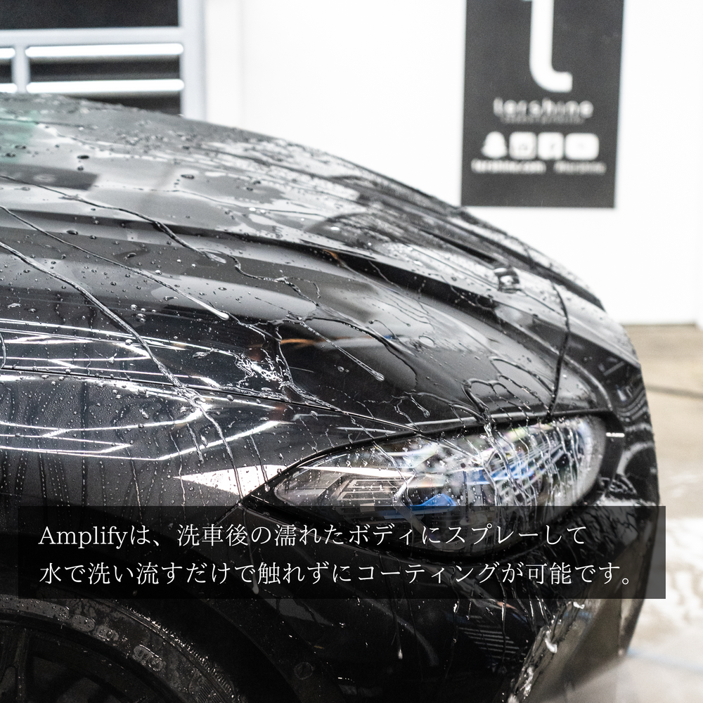 ターシャイン Amplify Wet Coat | ウェットコート