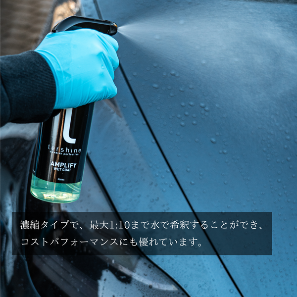 ターシャイン Amplify Wet Coat | ウェットコート